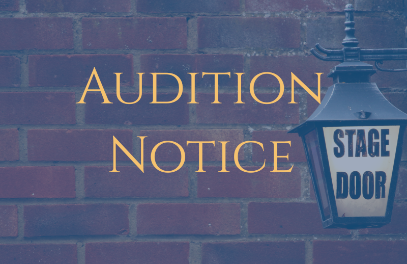 Auditions for Panto - Thame Players
